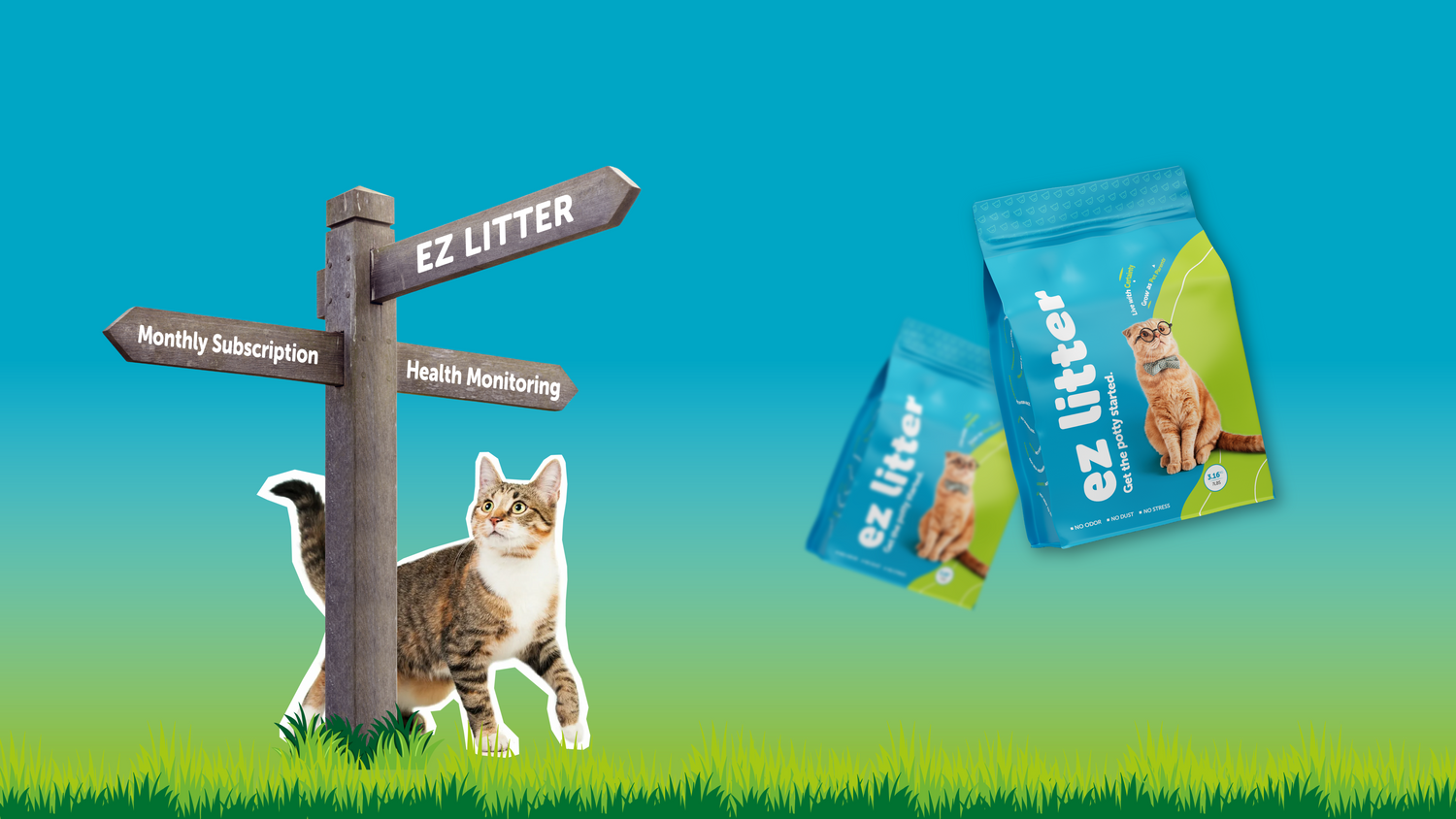Best Ways To Maintain A Perfect Litter Box Experience For Your Cat ...